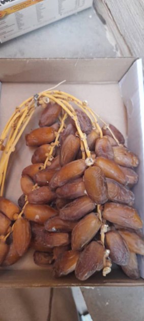 Dattes Algériennes de première qualité , En branches et ardjoune