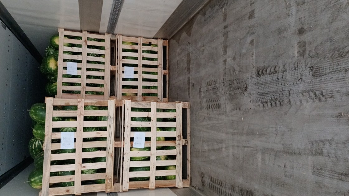 Pastèque maroc Jl import Destockage Grossiste
