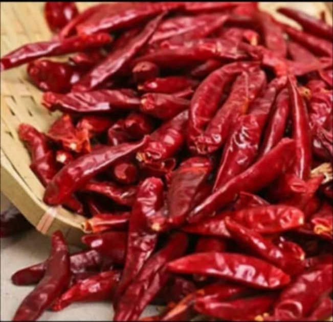 Piment sec Albert sarl Destockage Grossiste