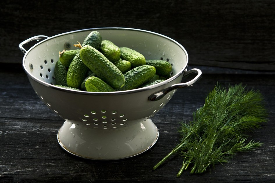 Maille - cornichon à la russe SARL PROSPECT EXCEL Destockage Grossiste